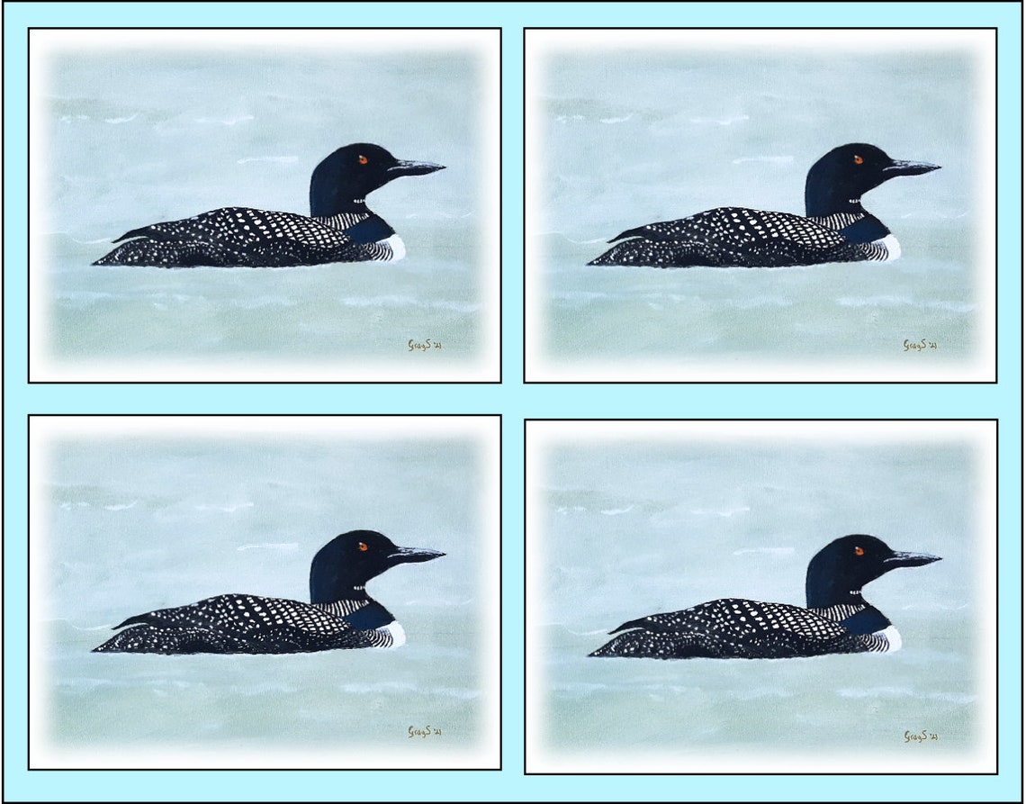 Set of 4 Notecards Blank Folded: Birds Common Loon - Etsy