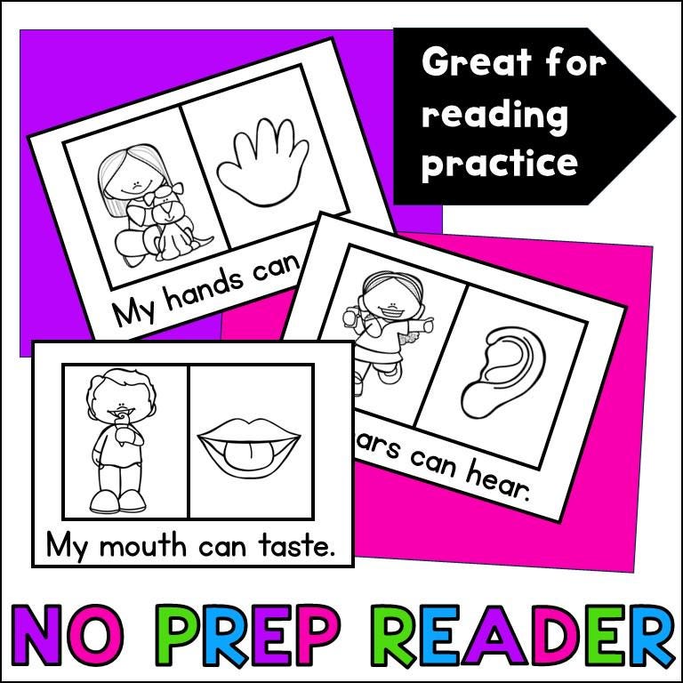 The Five Senses Worksheets Activity Emergent Reader and Anchor Charts ...