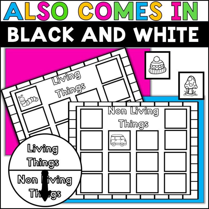 Living Non Living Things Sorting Activity Kindergarten First Grade ...