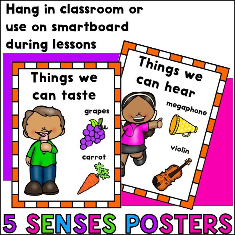 The Five Senses Worksheets Activity Emergent Reader and Anchor Charts ...