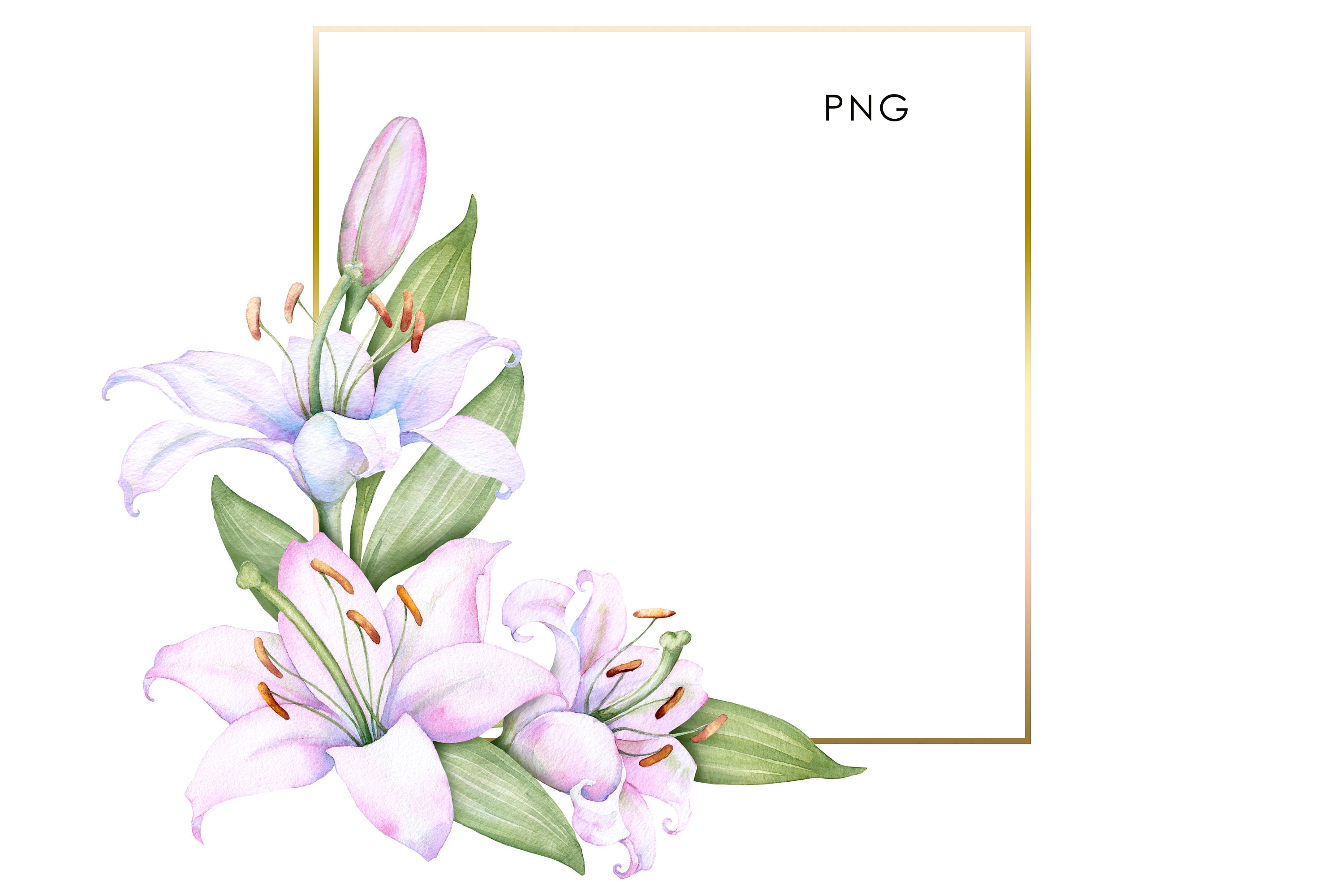Watercolor Lily Floral Frame Clipart (PNG) - Etsy Australia