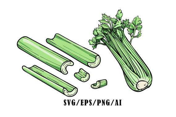 Celery Png