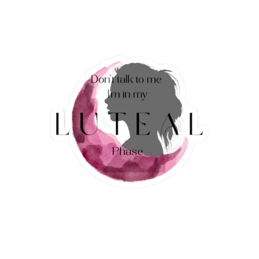 Luteal Phase Stickers, Moon Phase Decor, Don't Talk to Me, Laptop ...