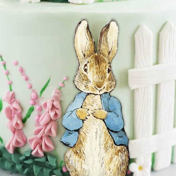 Peter Rabbit Cake Topper - Etsy Australia