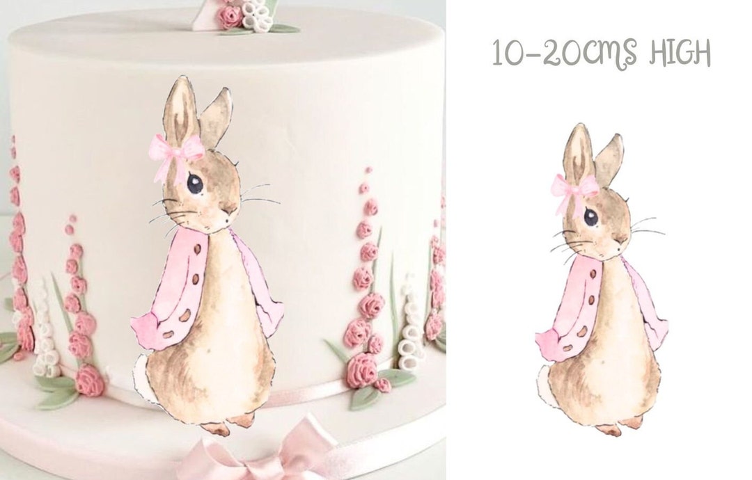 Flopsy Peter Rabbit Edible Icing Pre-cut Cake Topper Image Decoration ...