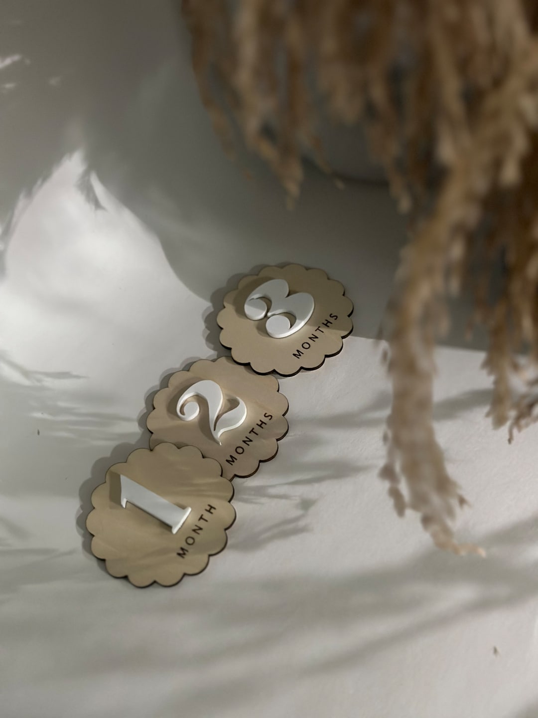 Scallop Monthly Milestone Plaques - Etsy
