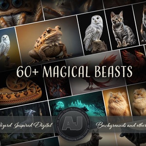 Ultimate Wizard Inspired Mega Bundle Pack Digital Backgrounds and Other ...