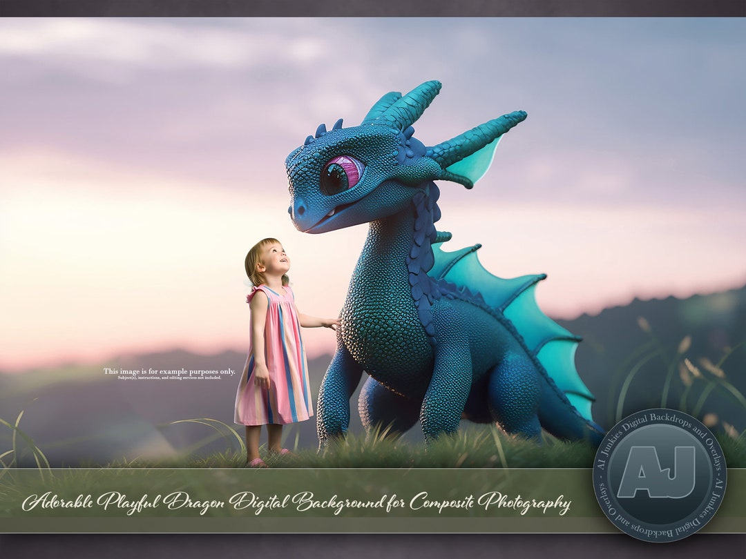 Dragon Digital Background for Photographers Dragon Backdrop Instant ...