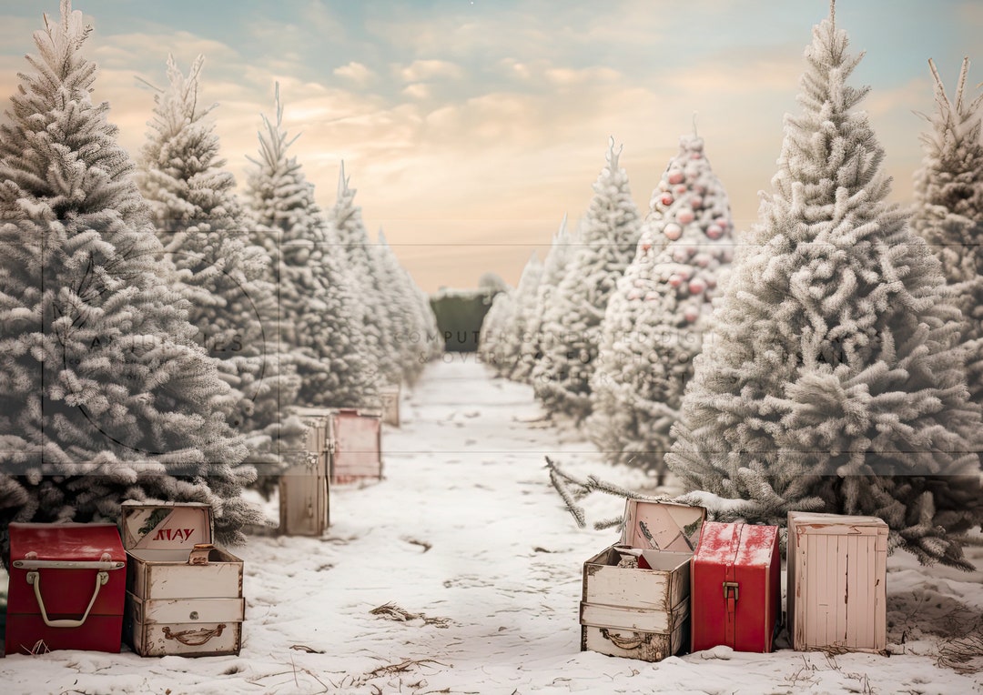 Christmas Tree Farm Digital Backdrop for Holiday Card Photo ...
