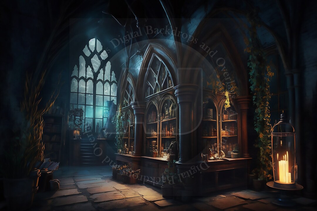 Wizard Magic Shop Digital Background, Wizard Shop Digital Backdrop ...