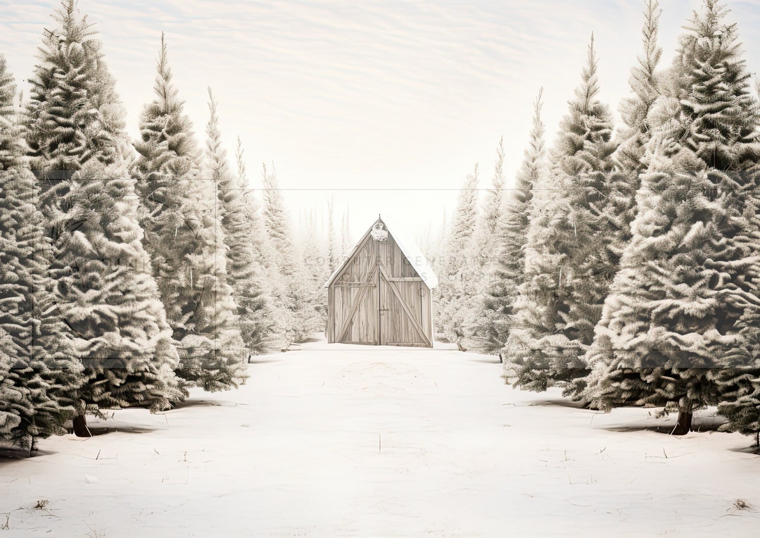 Christmas Tree Farm Digital Backdrop for Composite Photographers ...