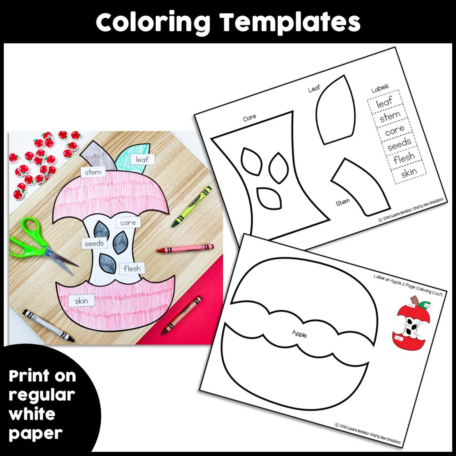 Label an Apple Craft | Apple Labeling Activity | Parts of an Apple ...