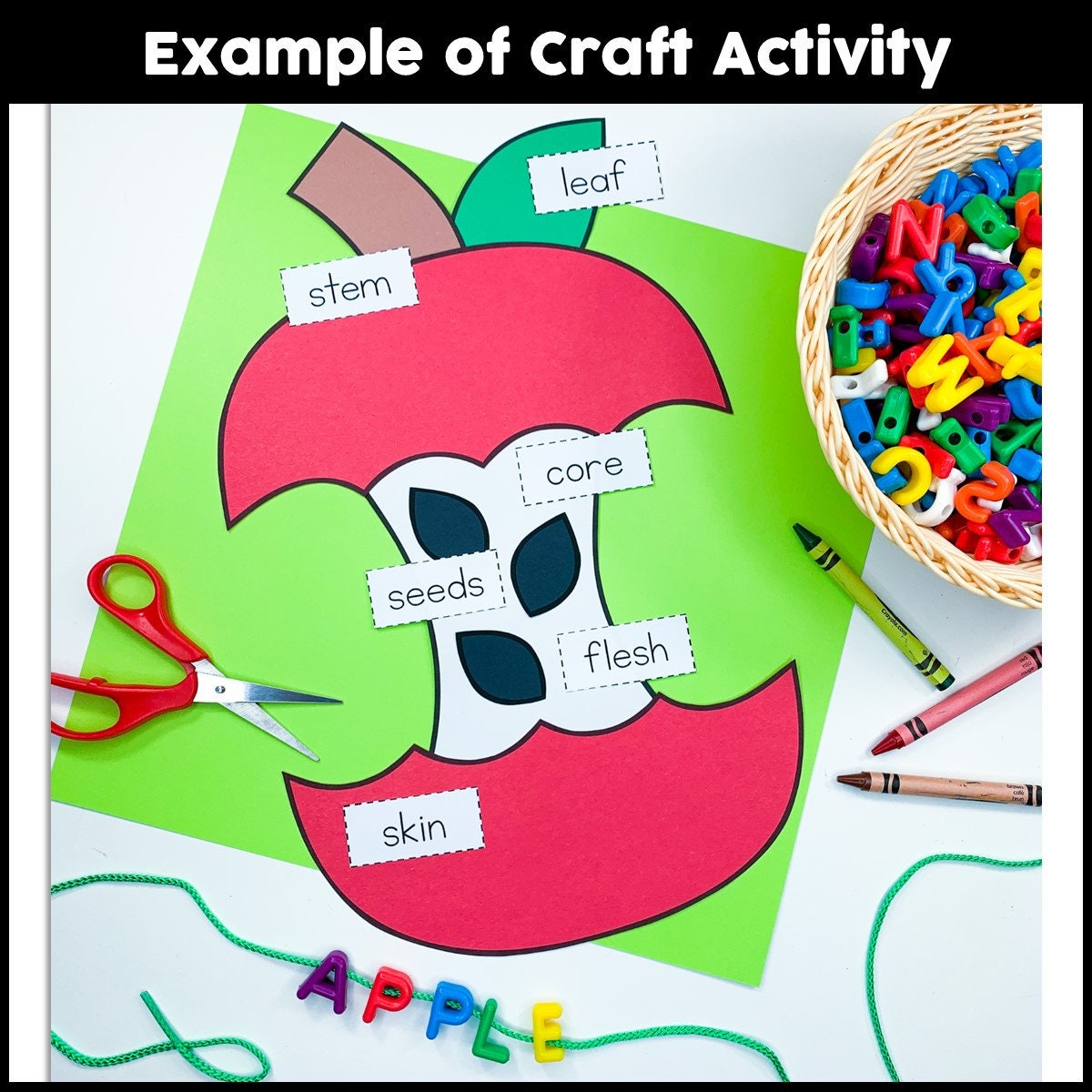 Label an Apple Craft Apple Labeling Activity Parts of an Apple ...