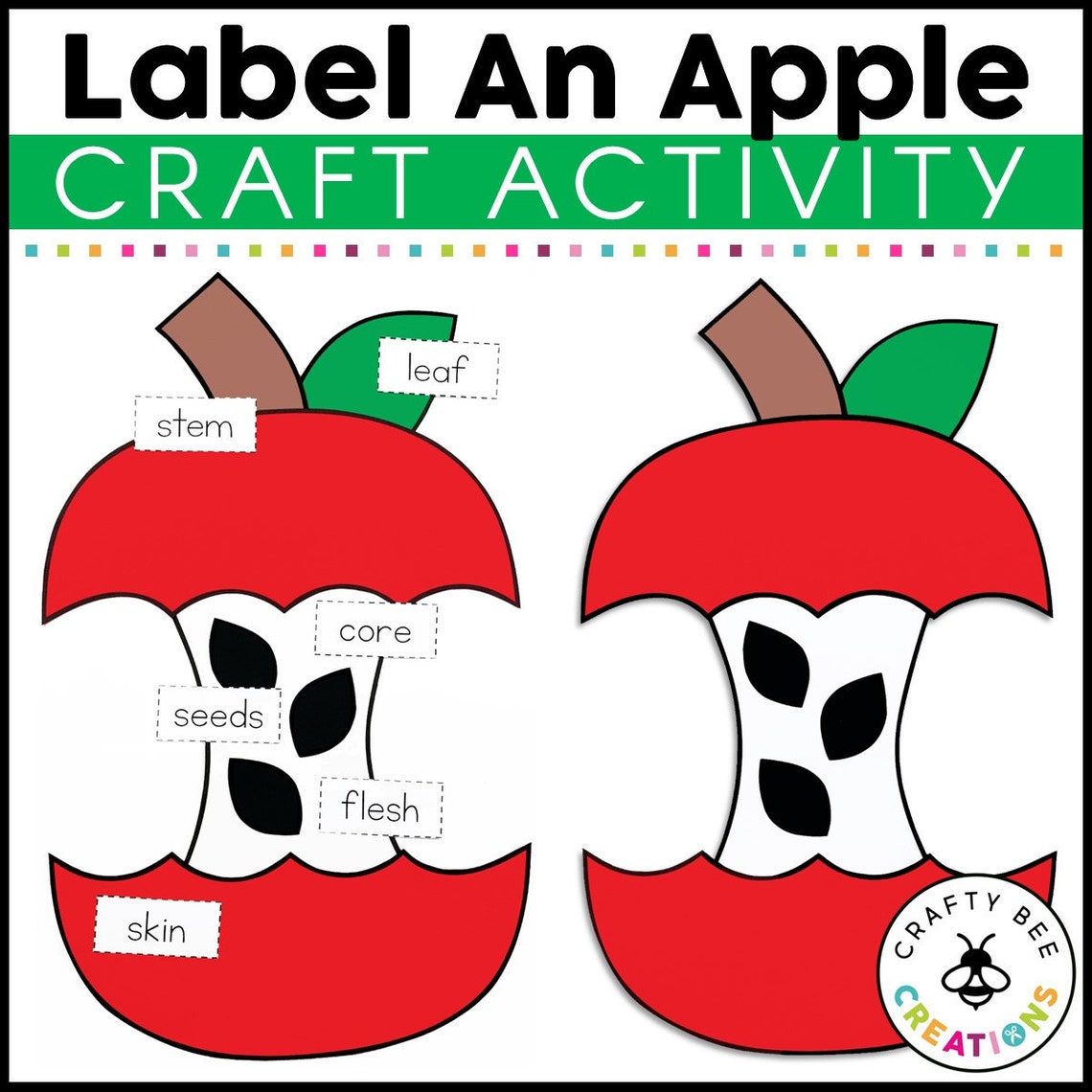 Label an Apple Craft Apple Labeling Activity Parts of an Apple ...