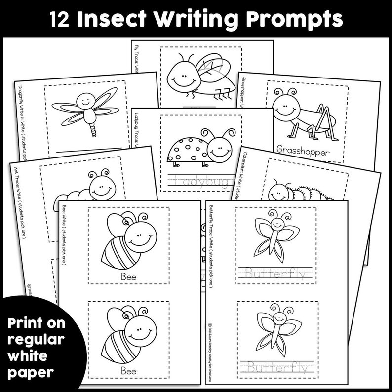 Insect Craft | Spring Insect Craft Activity | Bug and Insect Activities ...