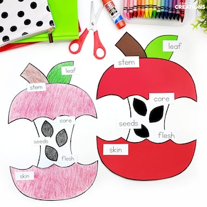 Label an Apple Craft | Apple Labeling Activity | Parts of an Apple ...