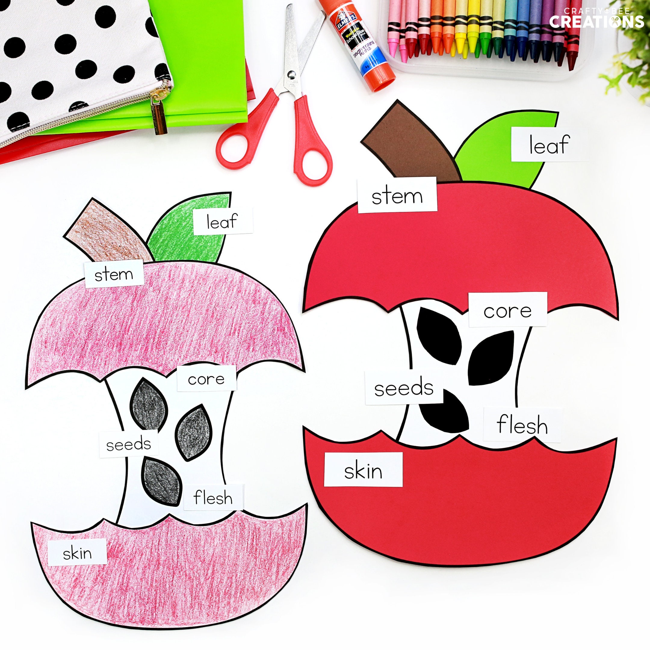 Label an Apple Craft | Apple Labeling Activity | Parts of an Apple ...