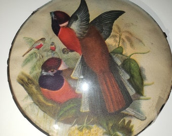 Peter Watson Studio - Etsy