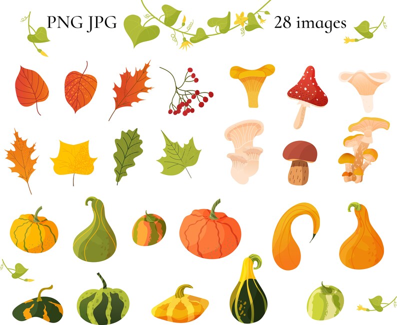 Fall Clipart, Autumn Clipart, Pumpkins, Leaves, Mushrooms, Printable ...