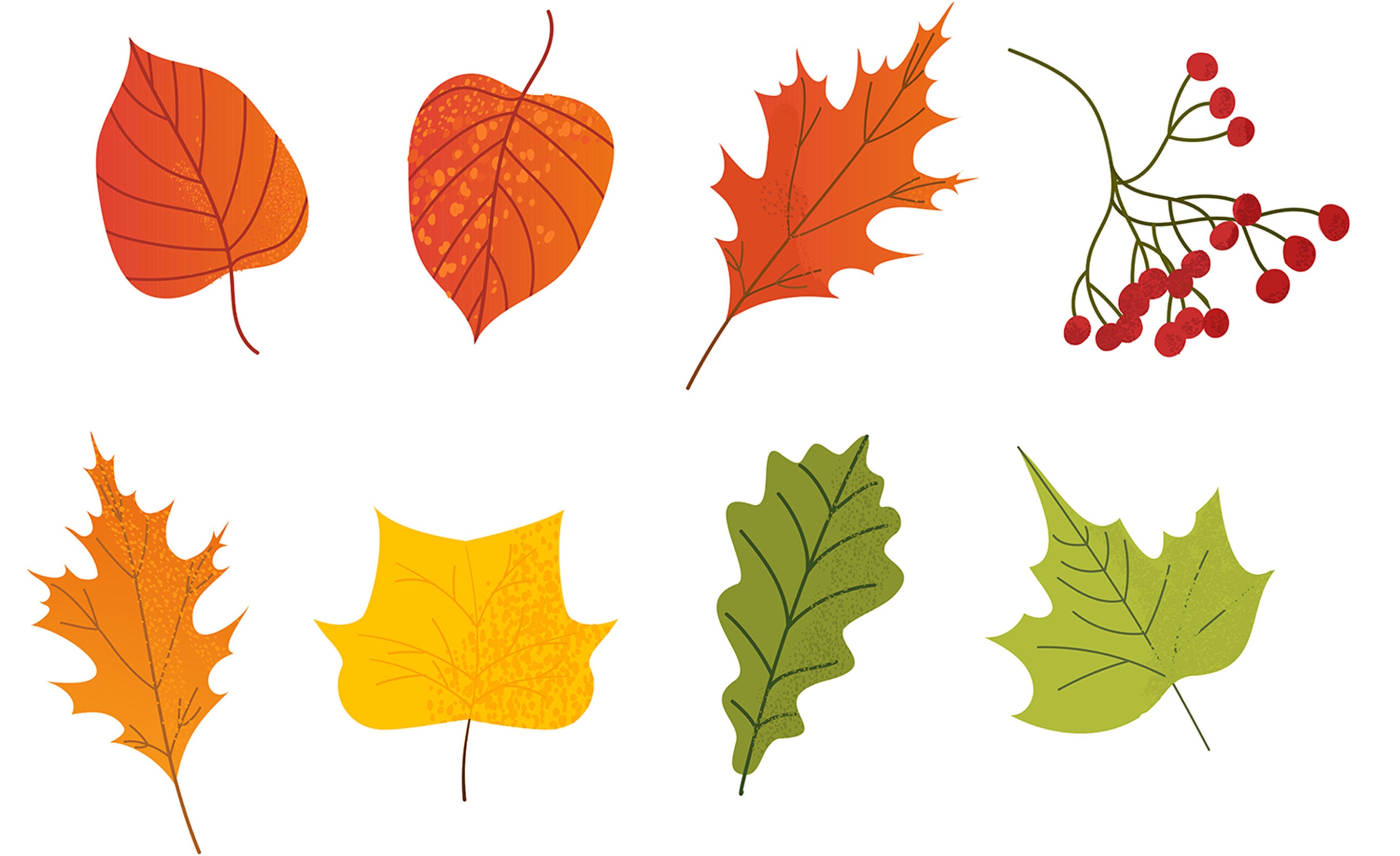 Fall Clipart, Autumn Clipart, Pumpkins, Leaves, Mushrooms, Printable ...