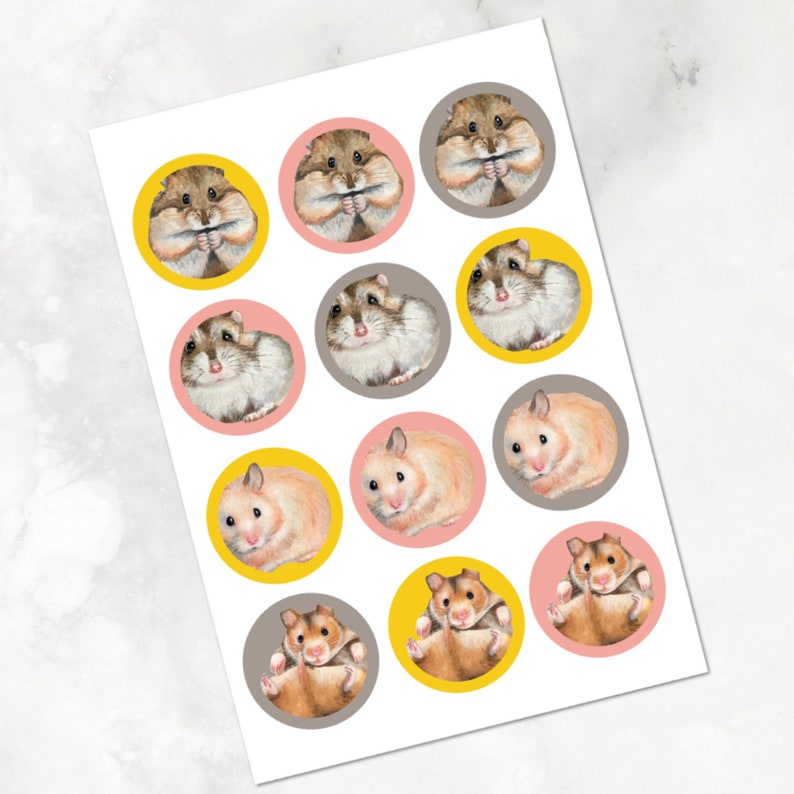 Hamster Birthday Cupcake Toppers Kids Party Theme Pink Yellow Digital ...