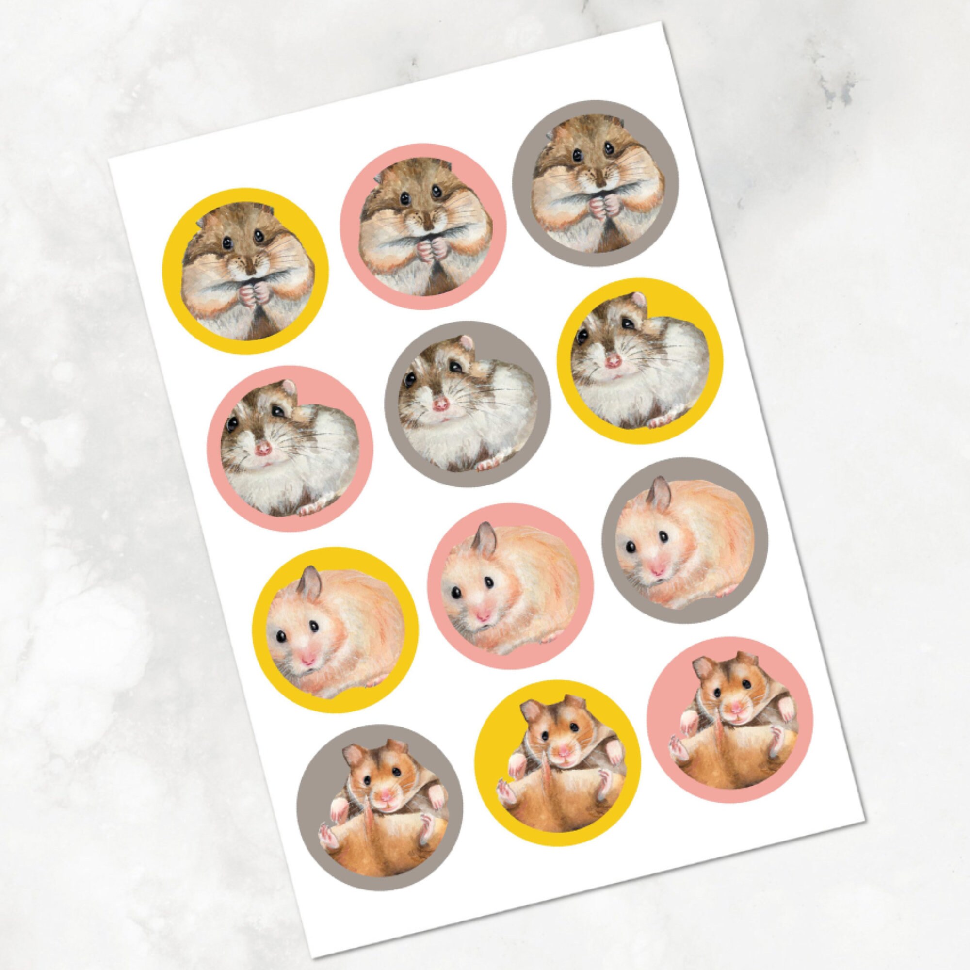 Hamster Birthday Cupcake Toppers Kids Party Theme Pink Yellow Digital ...