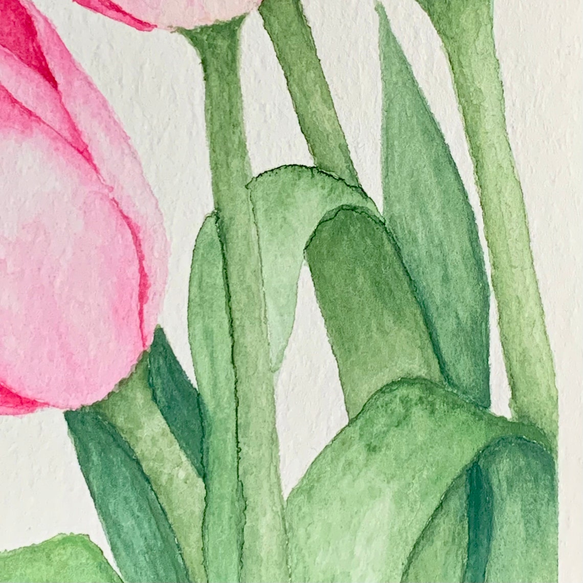 Fresh Tulips Original Watercolor Etsy