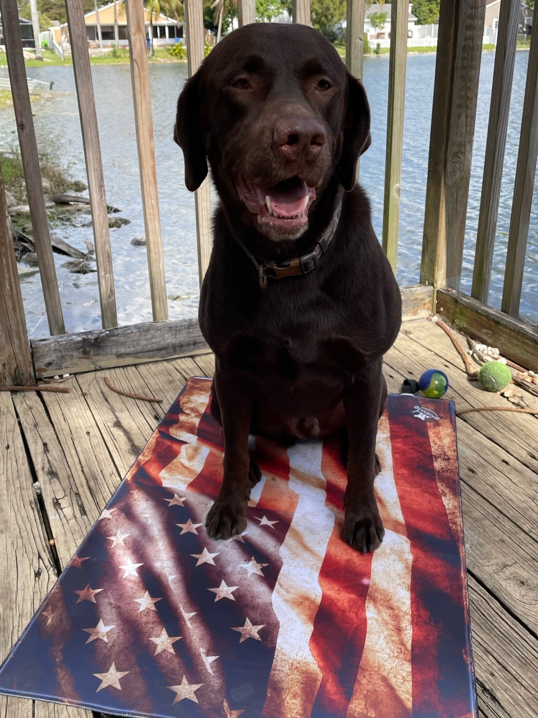 American Flag- Dog Travel Mat-settle Mat- Service Dog- Dog Training Mat ...