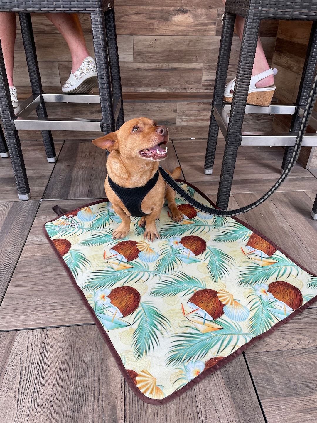 Coconut- Dog Travel Mat-settle Mat- Service Dog- Dog Training Mat - Etsy