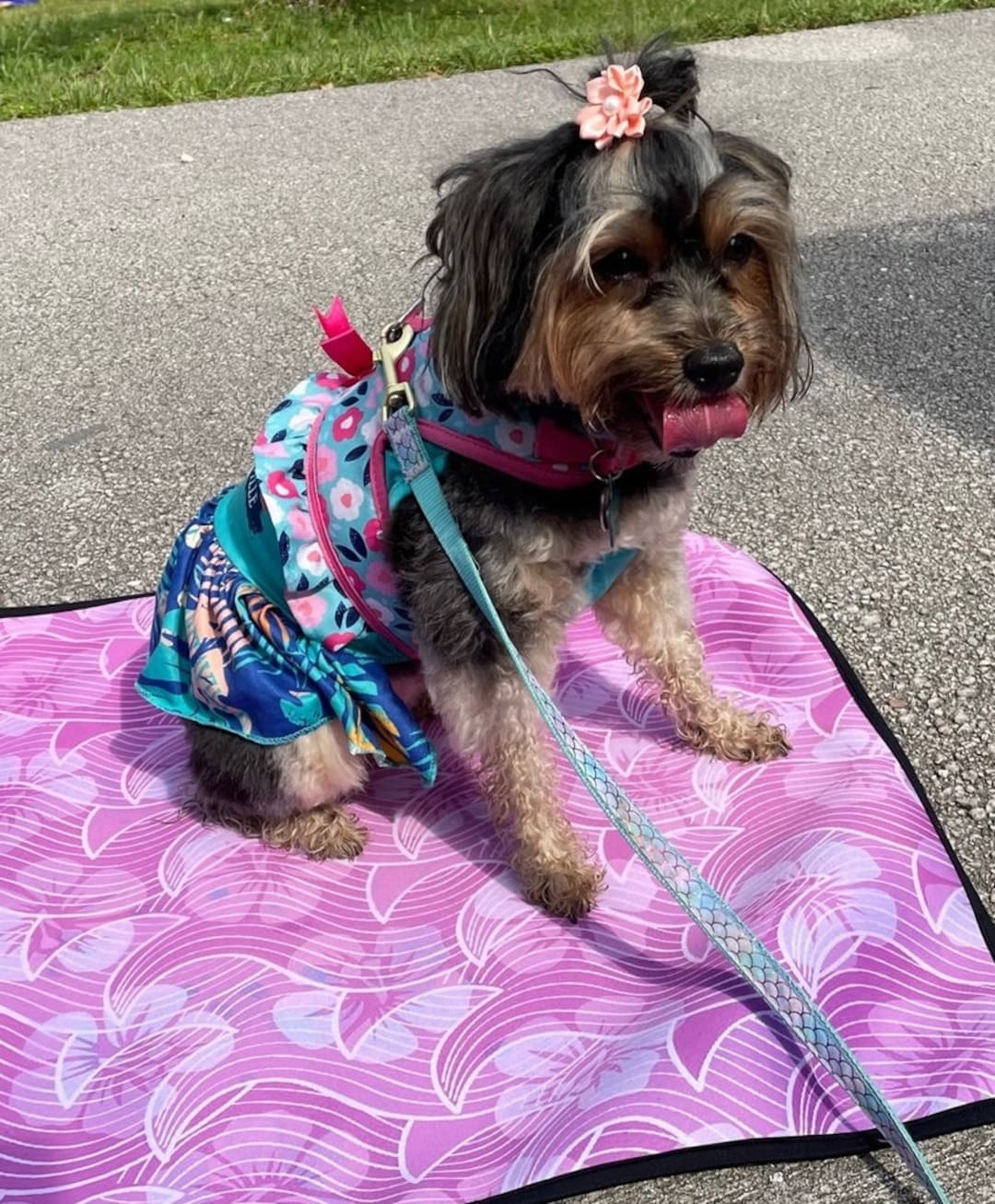 Hibiscus- Dog Travel Mat-settle Mat- Service Dog- Dog Training Mat - Etsy