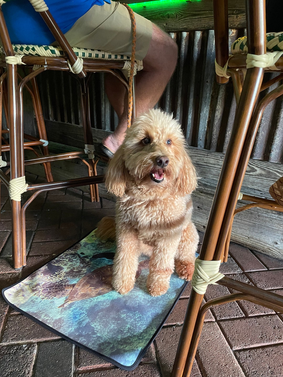 Turtle- Dog Travel Mat-settle Mat- Service Dog- Dog Training Mat - Etsy