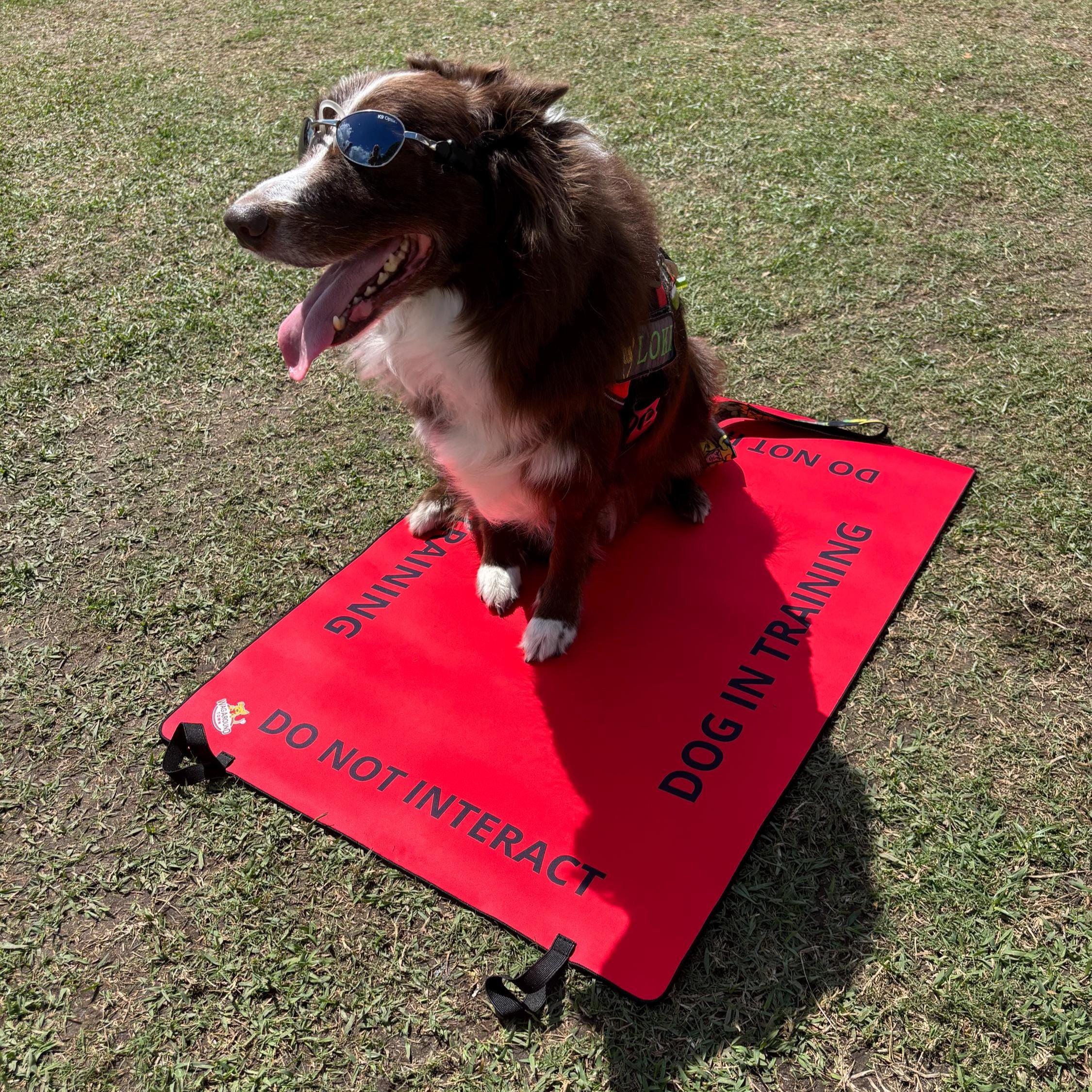 Dog Training Mat – Safe Space for Dogs, Water-resistant Neoprene Travel ...