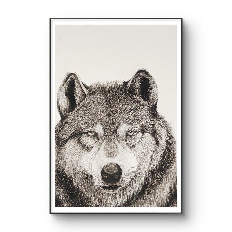 Original Charcoal Wolf Portrait, Realistic Animal Wildlife Art, Sketch ...