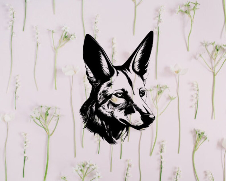 Jackal Svg Jackal Clipart Jackal Png Jackal Head Jackal - Etsy