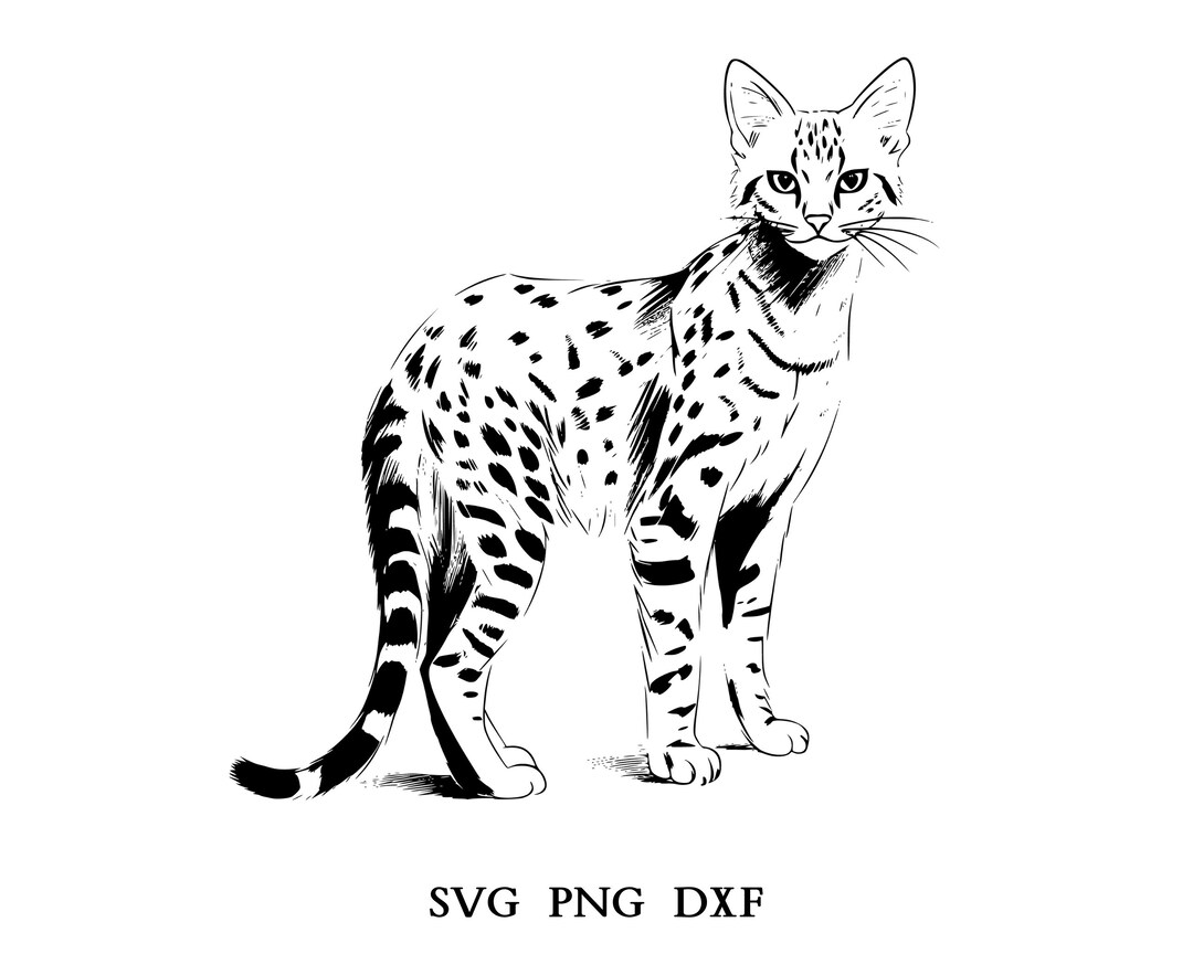 Savannah Svg, Savannah Clipart, Savannah Png, Savannah Head, Savannah ...