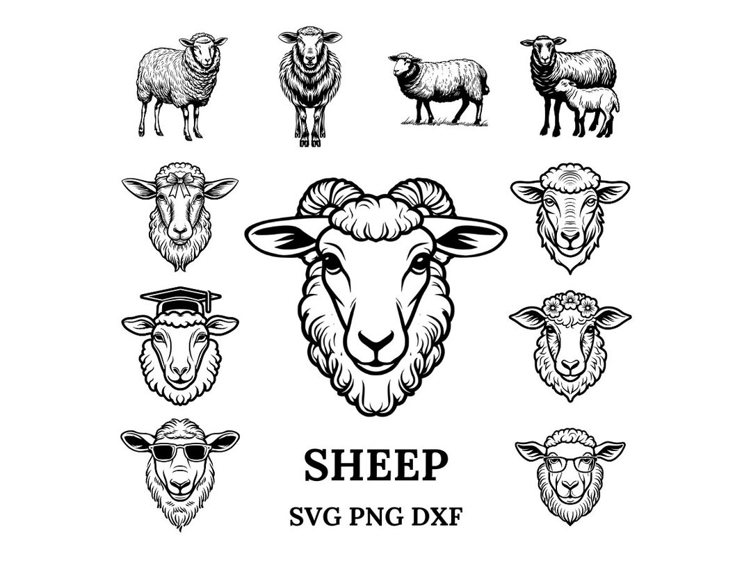 Sheep Svg Bundle , Sheep Svg , Sheep Png, Sheep Clipart, Sheep Head ...