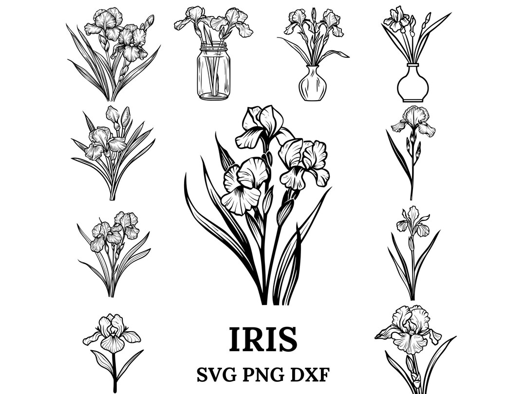 Iris Svg, Iris Png, Iris Clipart, Flower Svg, Flower Png - Etsy Canada