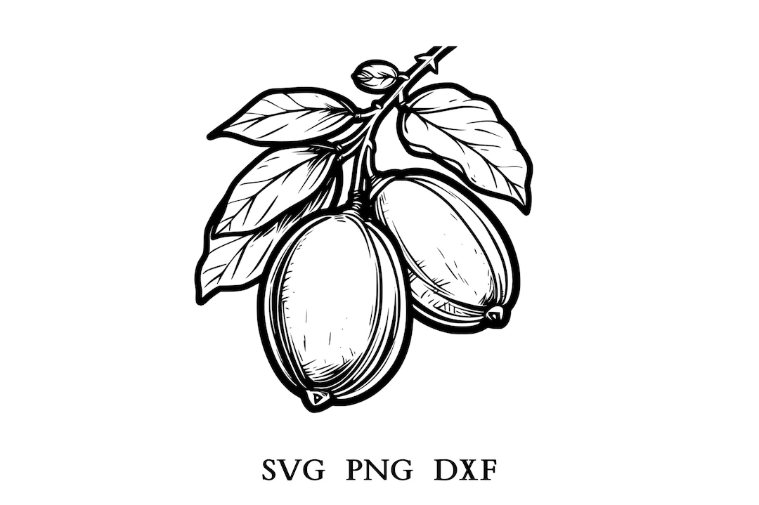 Ackee Svg, Ackee Clipart, Ackee Png, Fruit and Vegatables - Etsy UK