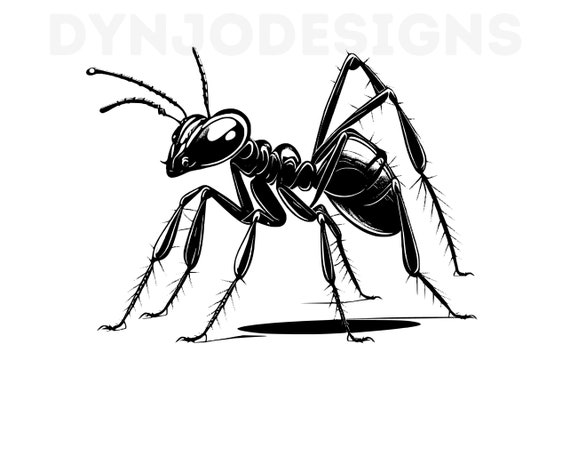 Ant Face Clipart