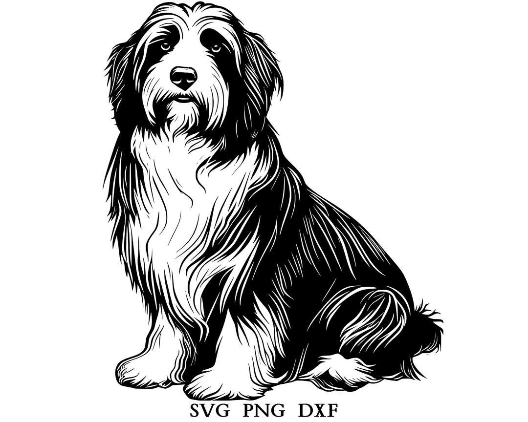 Bearded Collie Svg, Bearded Collie Clipart, Bearded Collie Png, Bearded ...