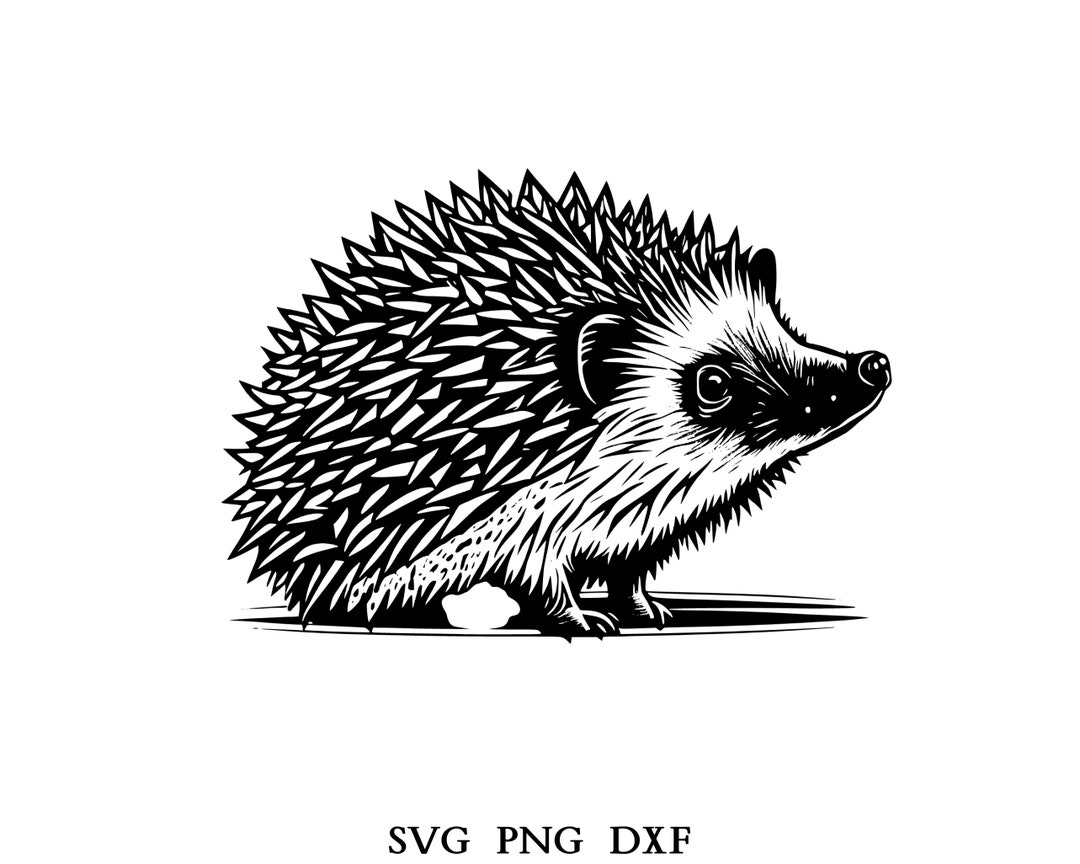 Hedgehog Svg, Hedgehog Clipart, Hedgehog Png, Hedgehog Head, Hedgehog ...