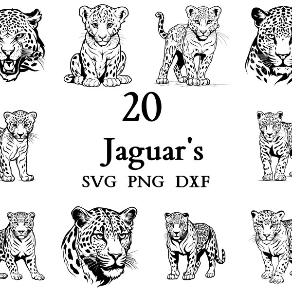 Jaguar Svg - Etsy
