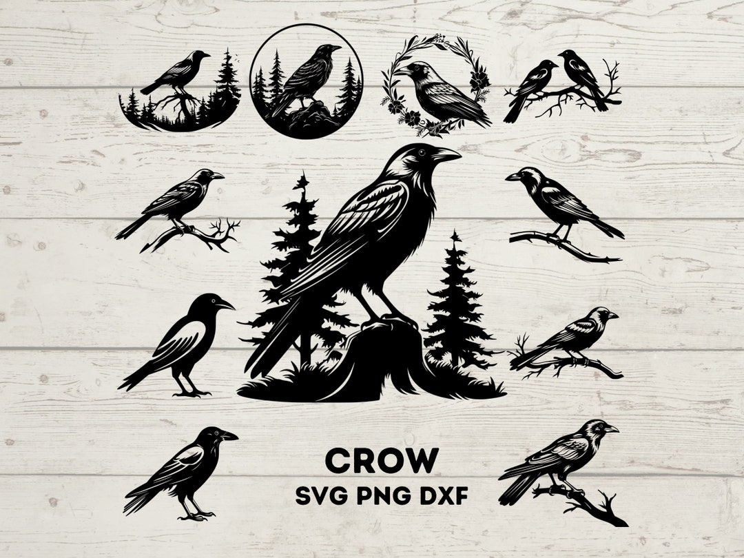 Crow Svg, Crow Bundle, Crow Clipart, Crow Png, Crow Cut Files for ...