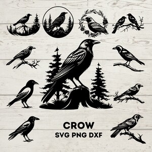 Crow Svg, Crow Bundle, Crow Clipart, Crow Png, Crow Cut Files for ...