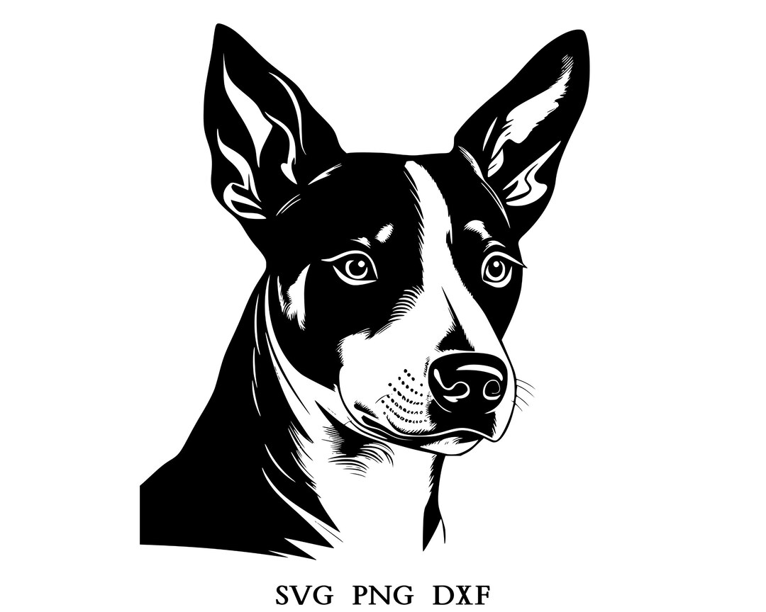 Basenji Svg, Basenji Clipart, Basenji Png, Basenji Head, Basenji Cut ...