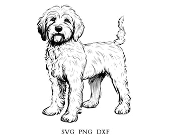 Labradoodle Dog Sitting Design Svg Png Dxf Eps Pdf Vector Graphic Cut ...