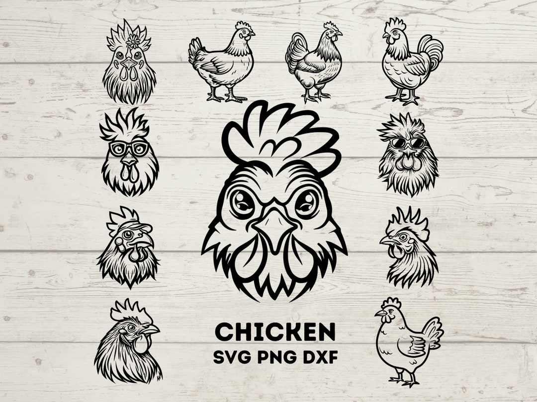 Paquete de pollo svg, pollo svg, pollo png, imágenes prediseñadas de ...