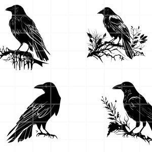 Crow Svg, Crow Bundle, Crow Clipart, Crow Png, Crow Cut Files for ...