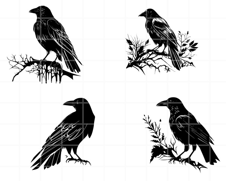 Crow Svg Crow Bundle Crow Clipart Crow Png Crow Cut Files - Etsy