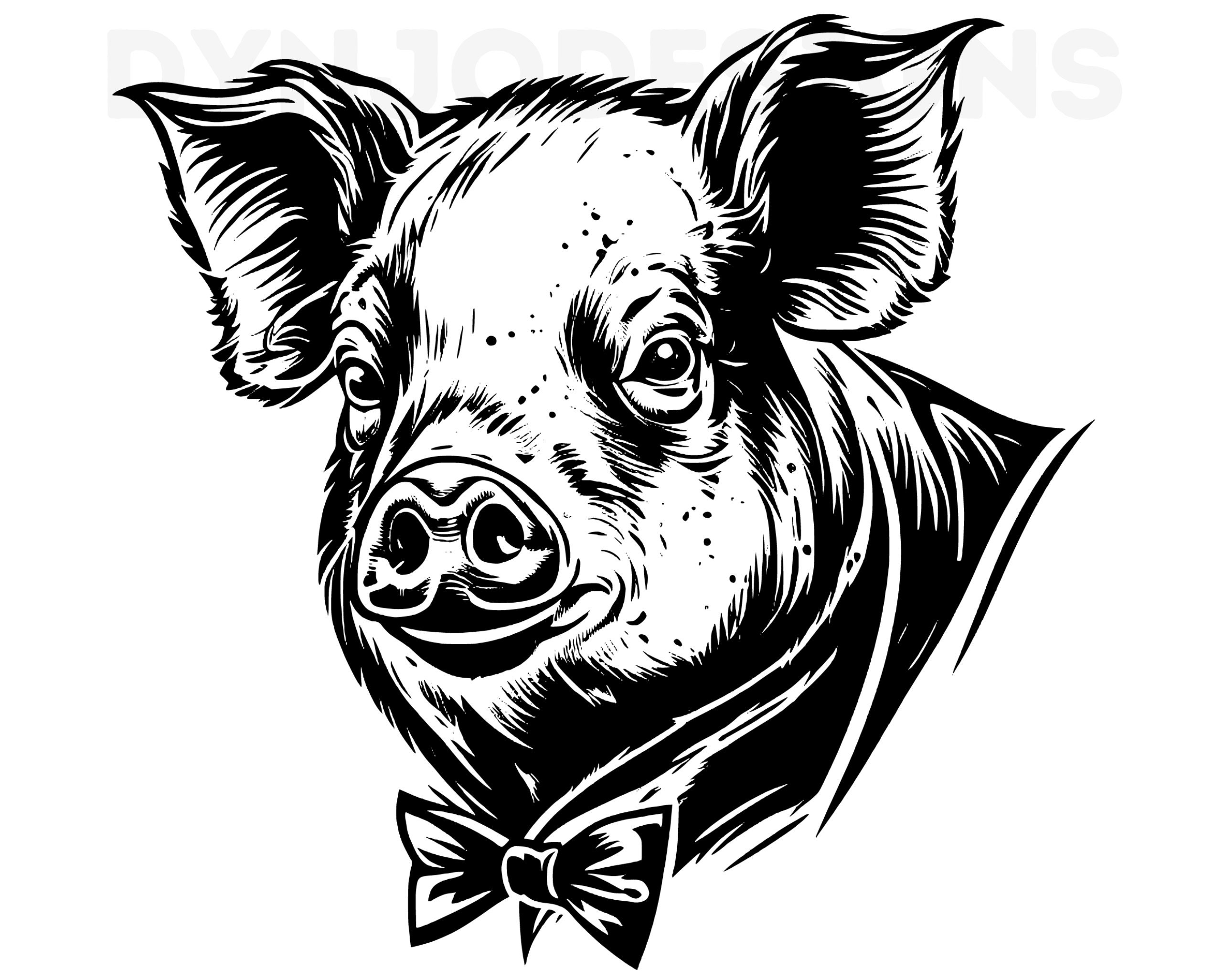 Pig Head Drawing